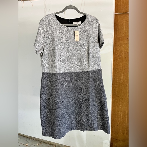 LOFT | Dresses | Loft Plus Sz 8 Nwt | Poshmark